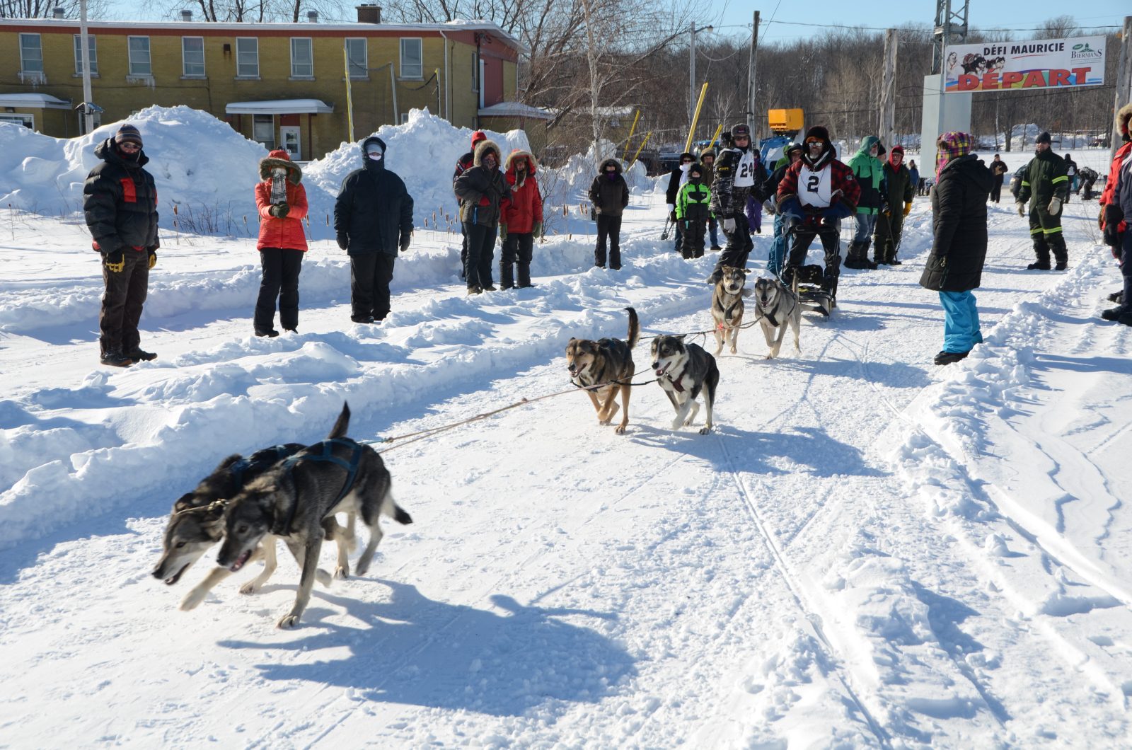 Mushers et chiens de traîneau attendus à Saint-Luc - L’Hebdo Mékinac ...