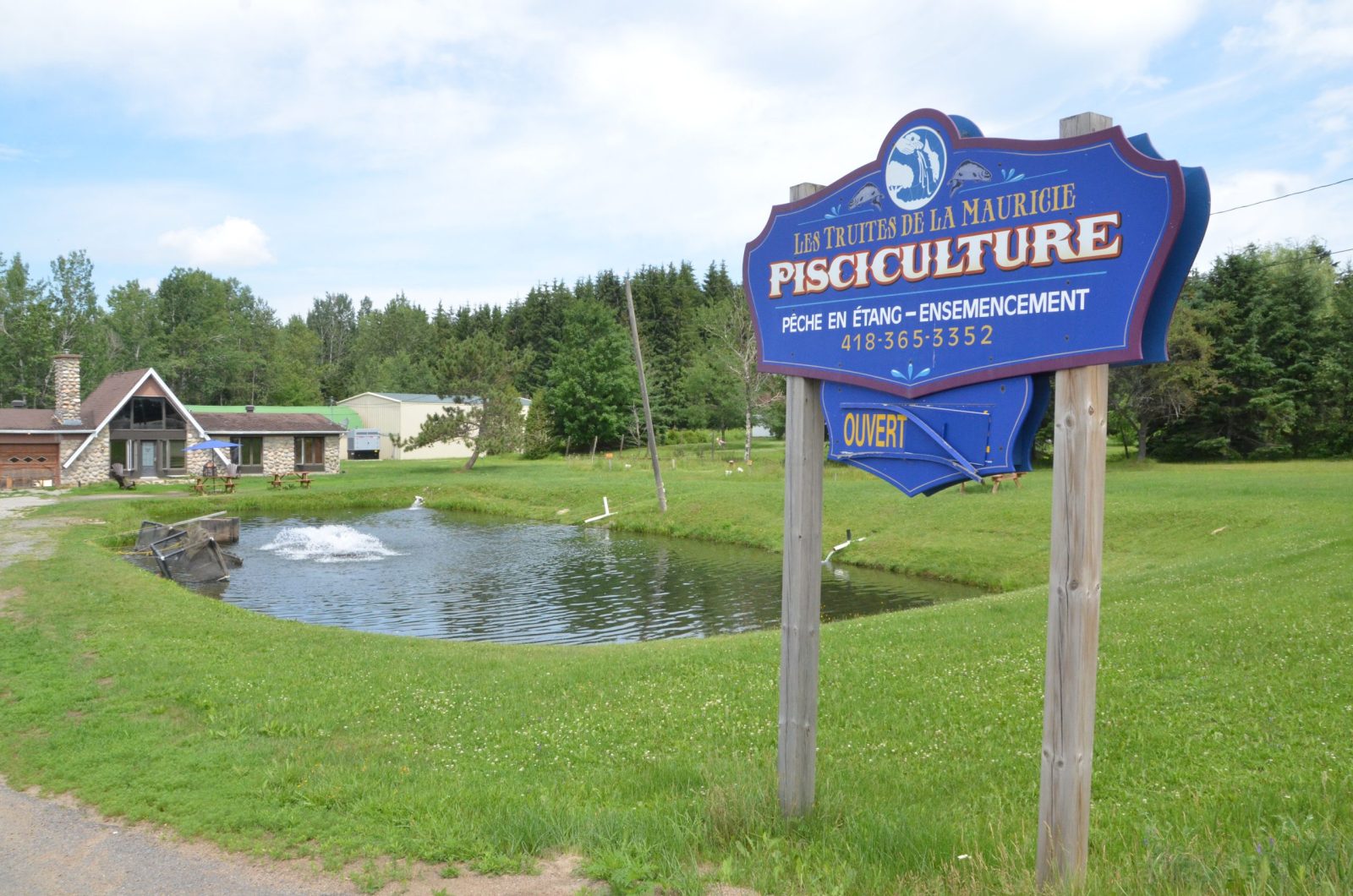 Les Truites de la Mauricie: 40% de la production 2020 est resté dans ...