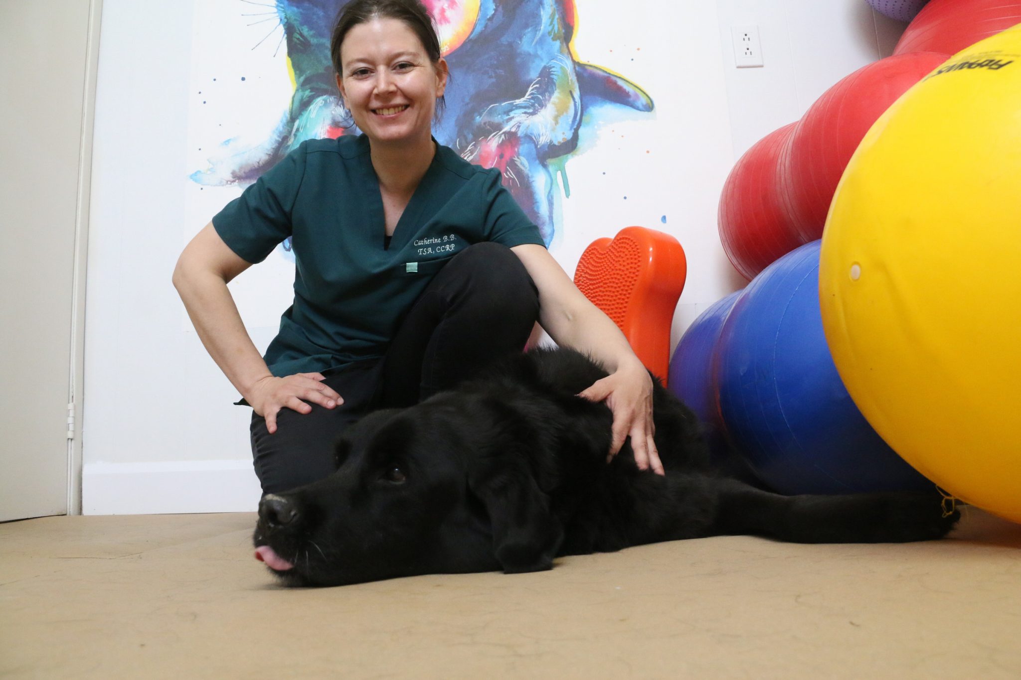 Mobilité Animale: elle offre des services de réadaptation pour les ...